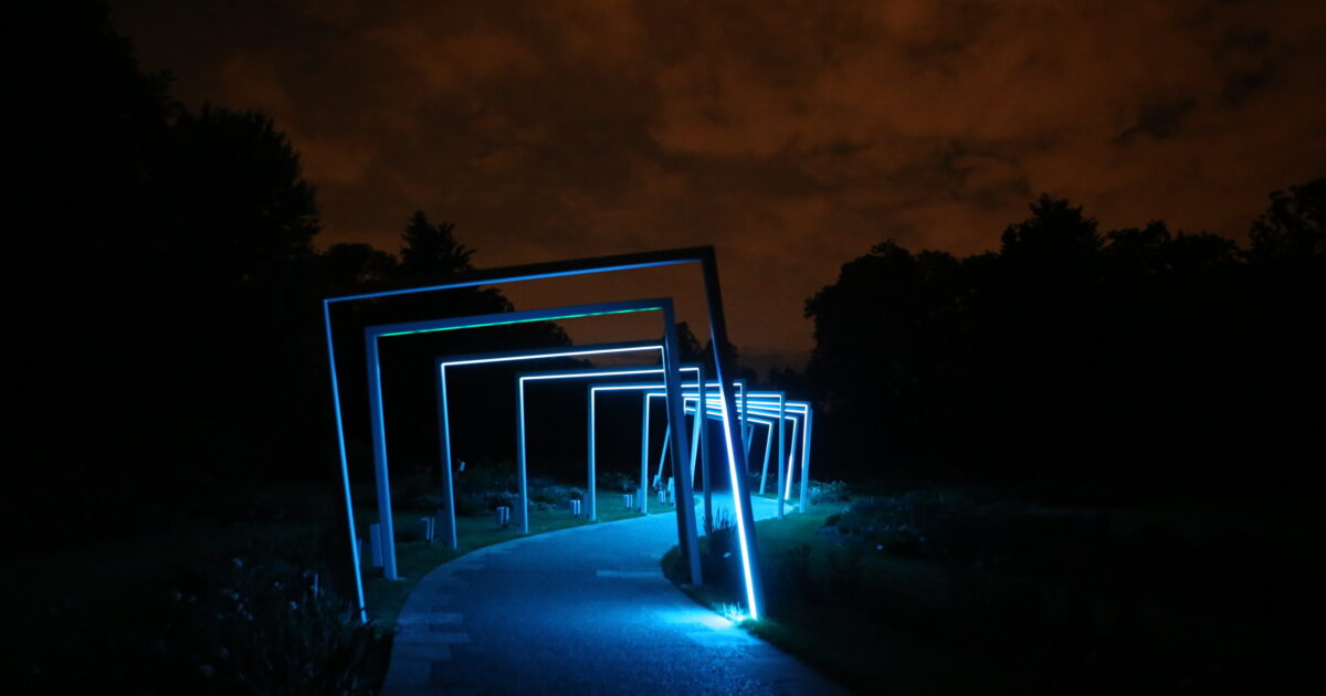 Flora Borealis | Gentilhomme